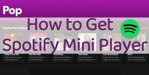 How to Get Spotify Mini Player on Windows & Mac - AudBite